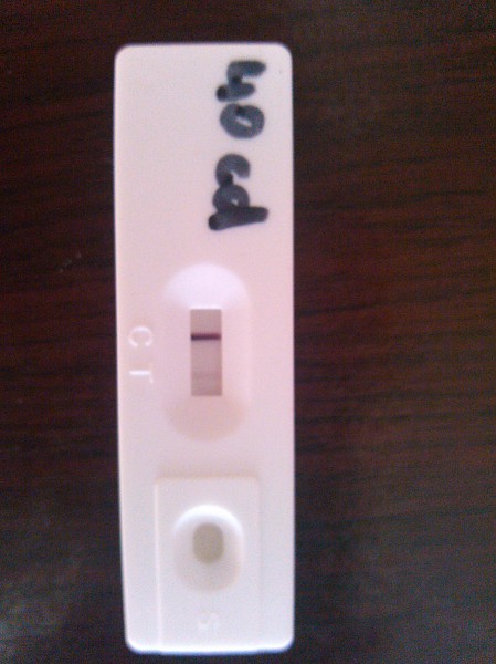 Kaip ir per kiek laiko pastojote? | Tėvų darželis